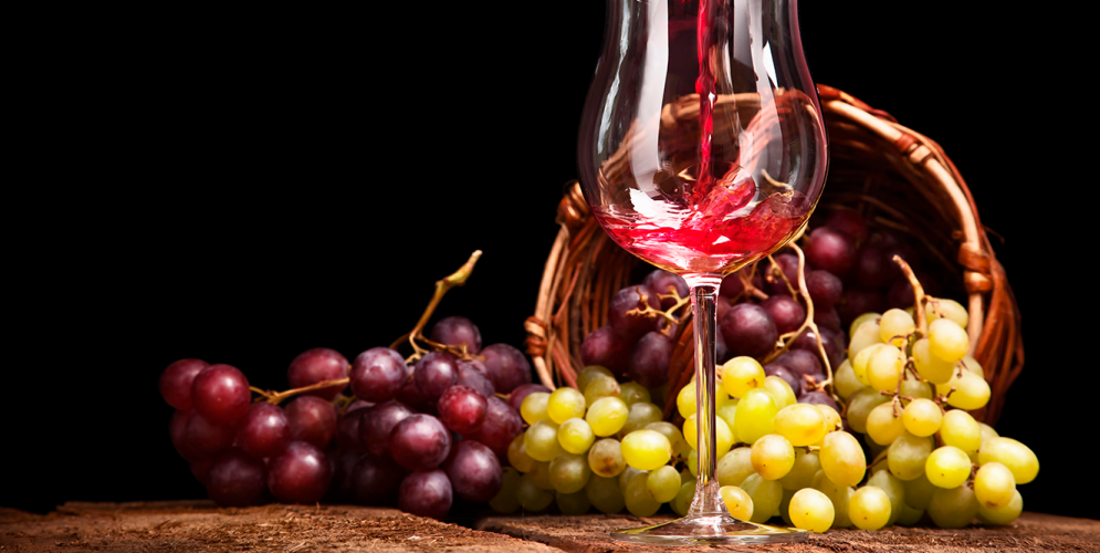 Qu'est-ce qu’un cépage ? Tout savoir sur les cépages